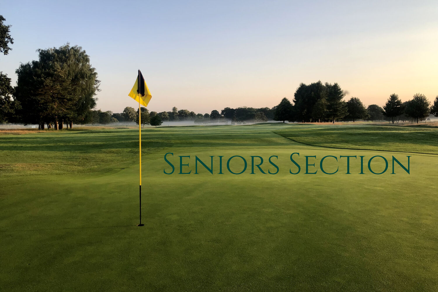Seniors Match Reports